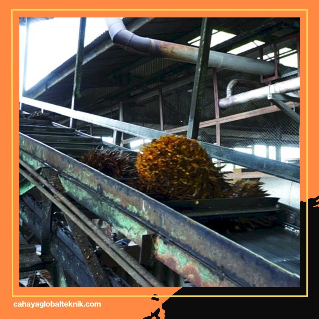 Conveyor Sawit: Meningkatkan Efisiensi dan Produktivitas di Industri Kelapa Sawit